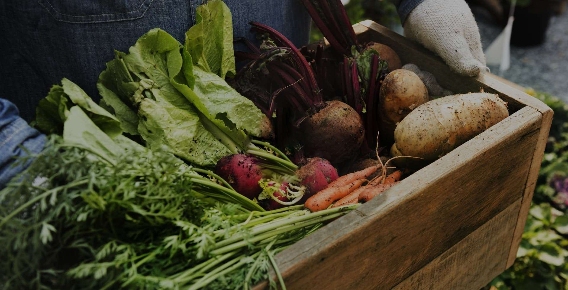 Agricultural and Events Farm in Hanover County, Virginia - The Hanover ...