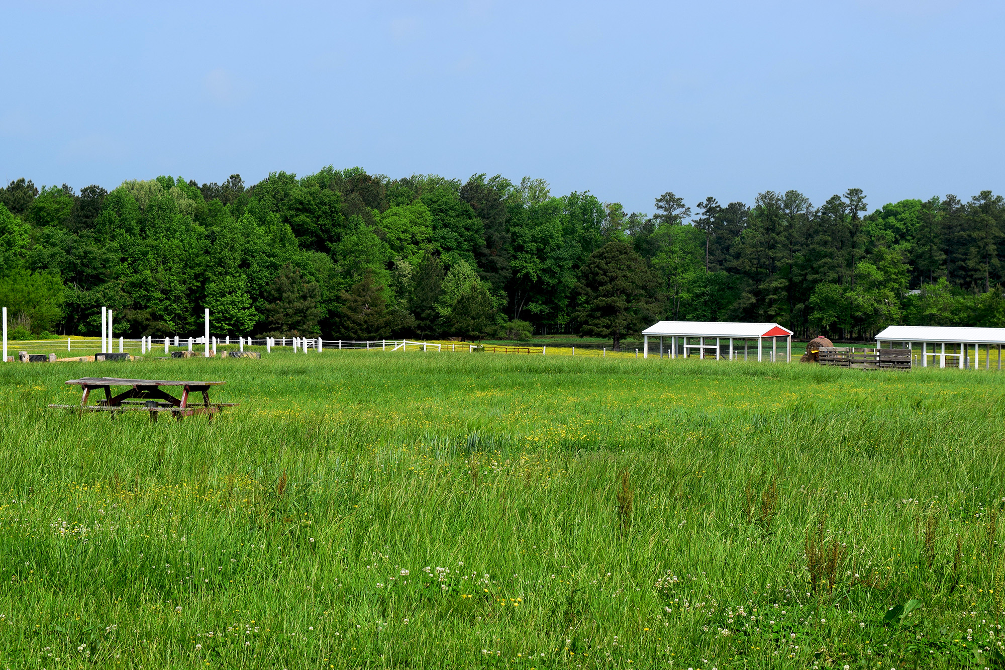 Plan Your Visit – Hanover Vegetable Farm