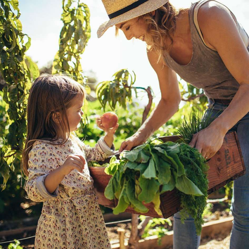 Agricultural and Events Farm in Hanover County, Virginia - The Hanover ...